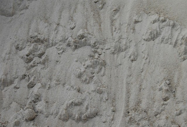 Grus og Sand, vasket sand og fugesand mv. i bigbags og småsække